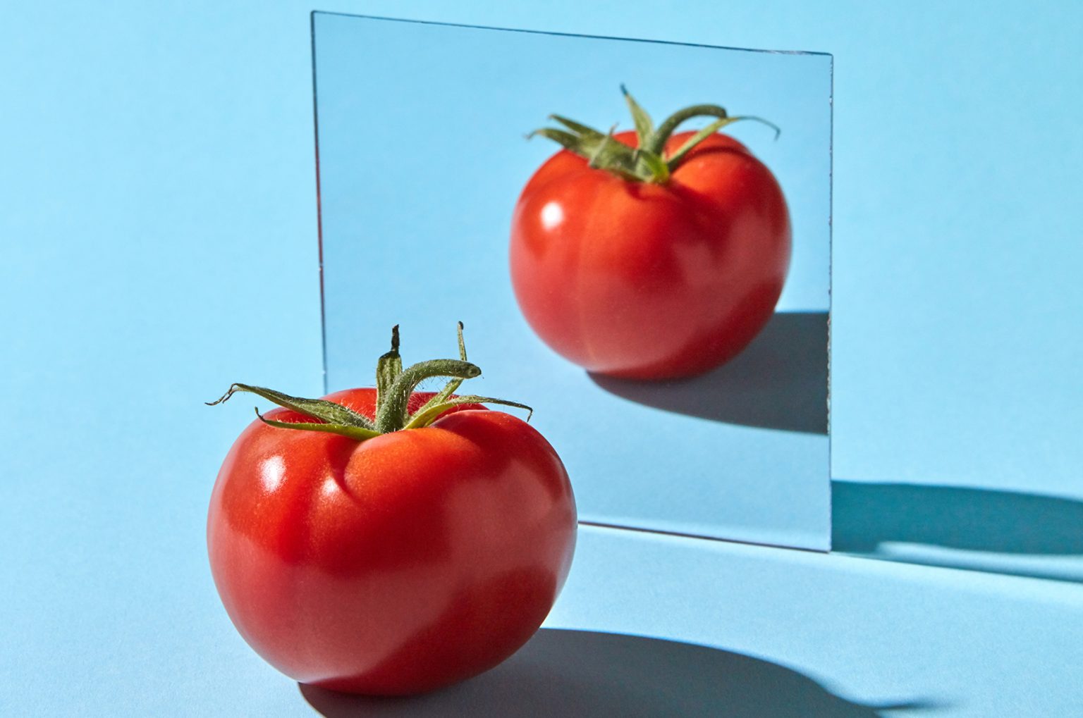 Custom Mirrors | Cut-To-Size | In Stock Ready to Ship Immediately