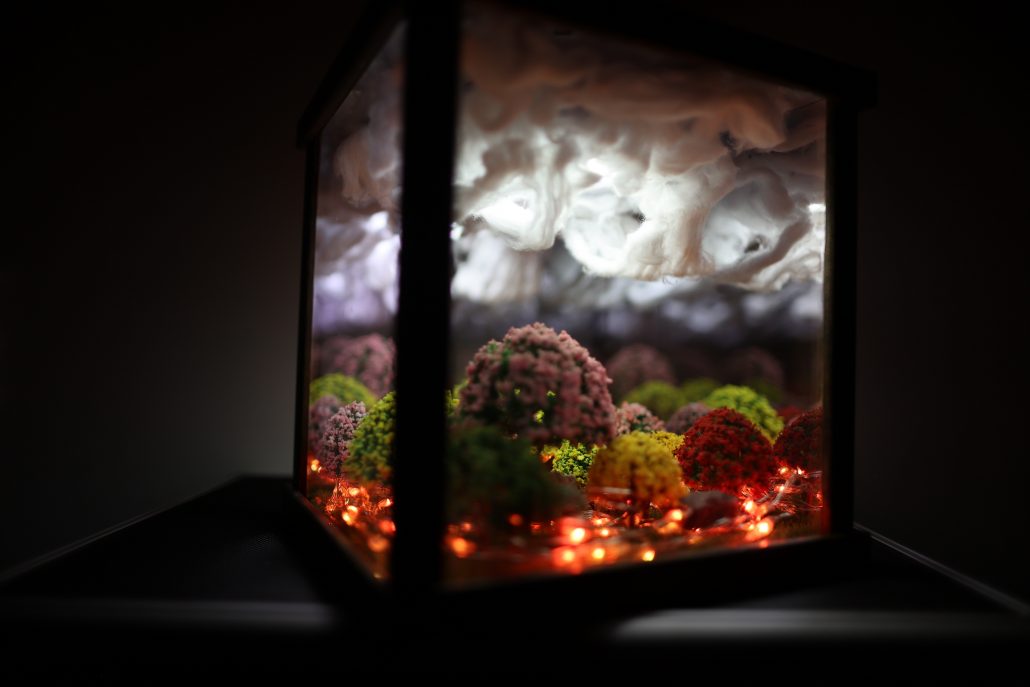 Infinity Mirror Panorama Glass Cube Decoration | Two Way Mirrors